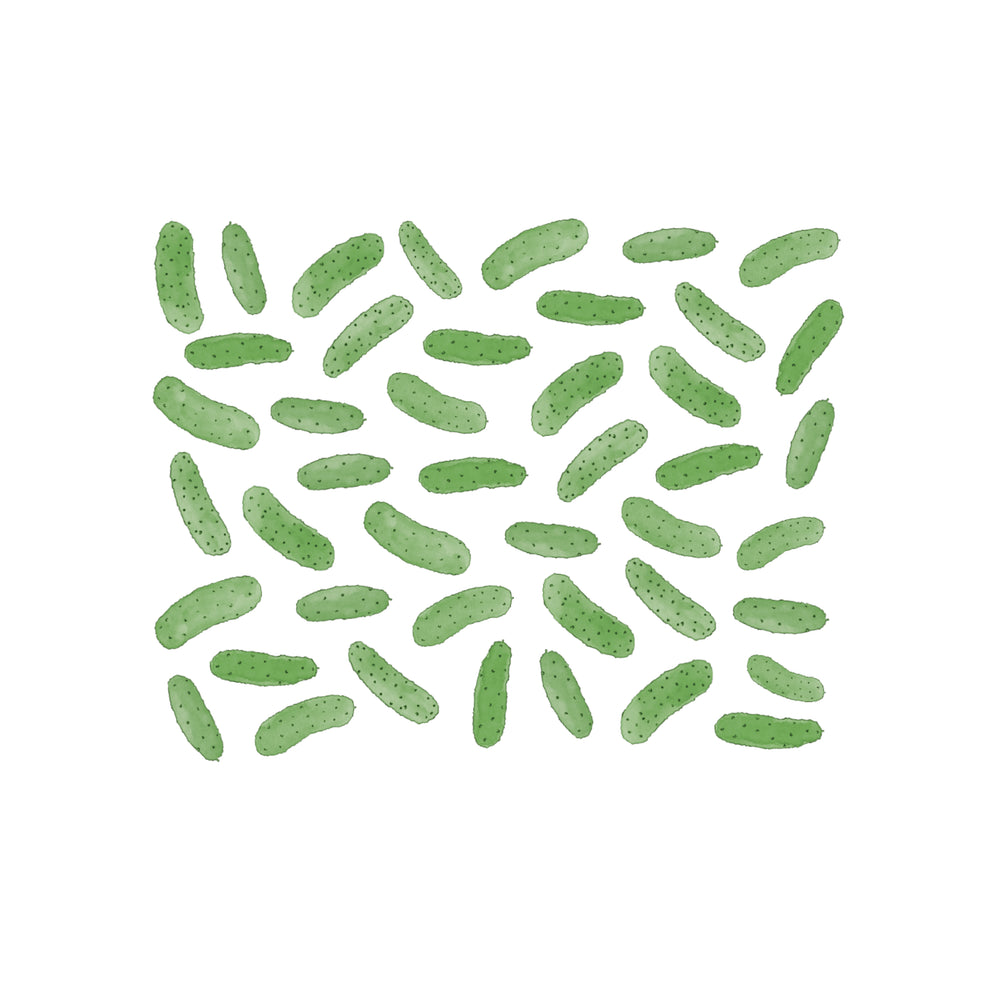 Pickle Card – Sarah Wormann Art